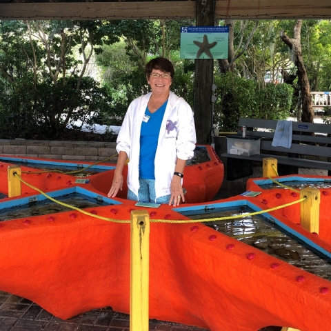 Florida Oceanographic Society | Meet Mary Alexander