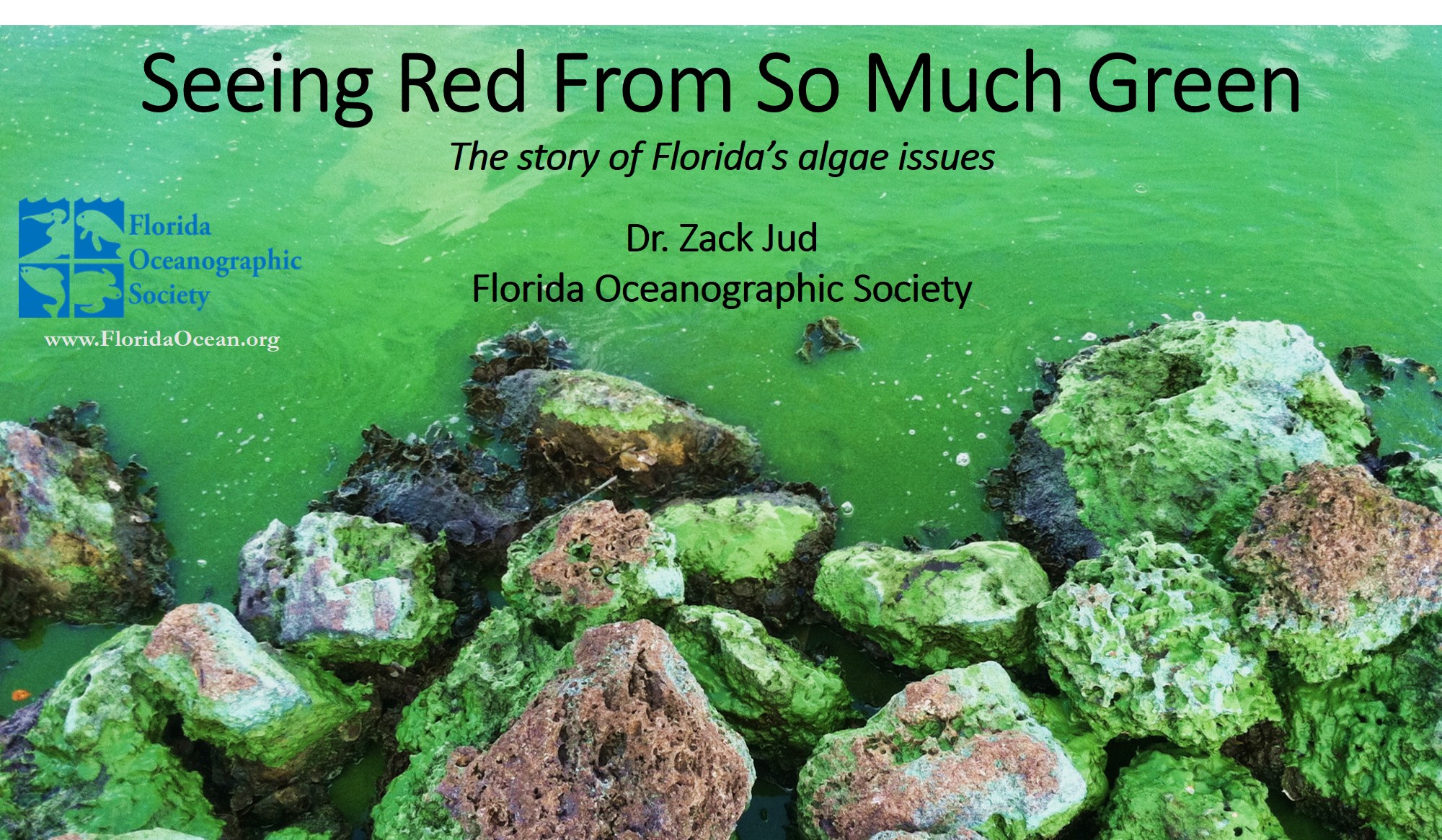 Florida Oceanographic Society | Algae Blooms and Florida’s Water Issues ...