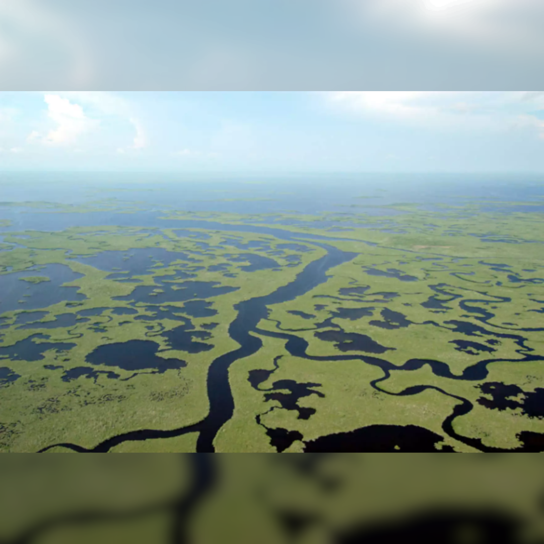 Florida Oceanographic Society | Too much polluted agricultural water ...